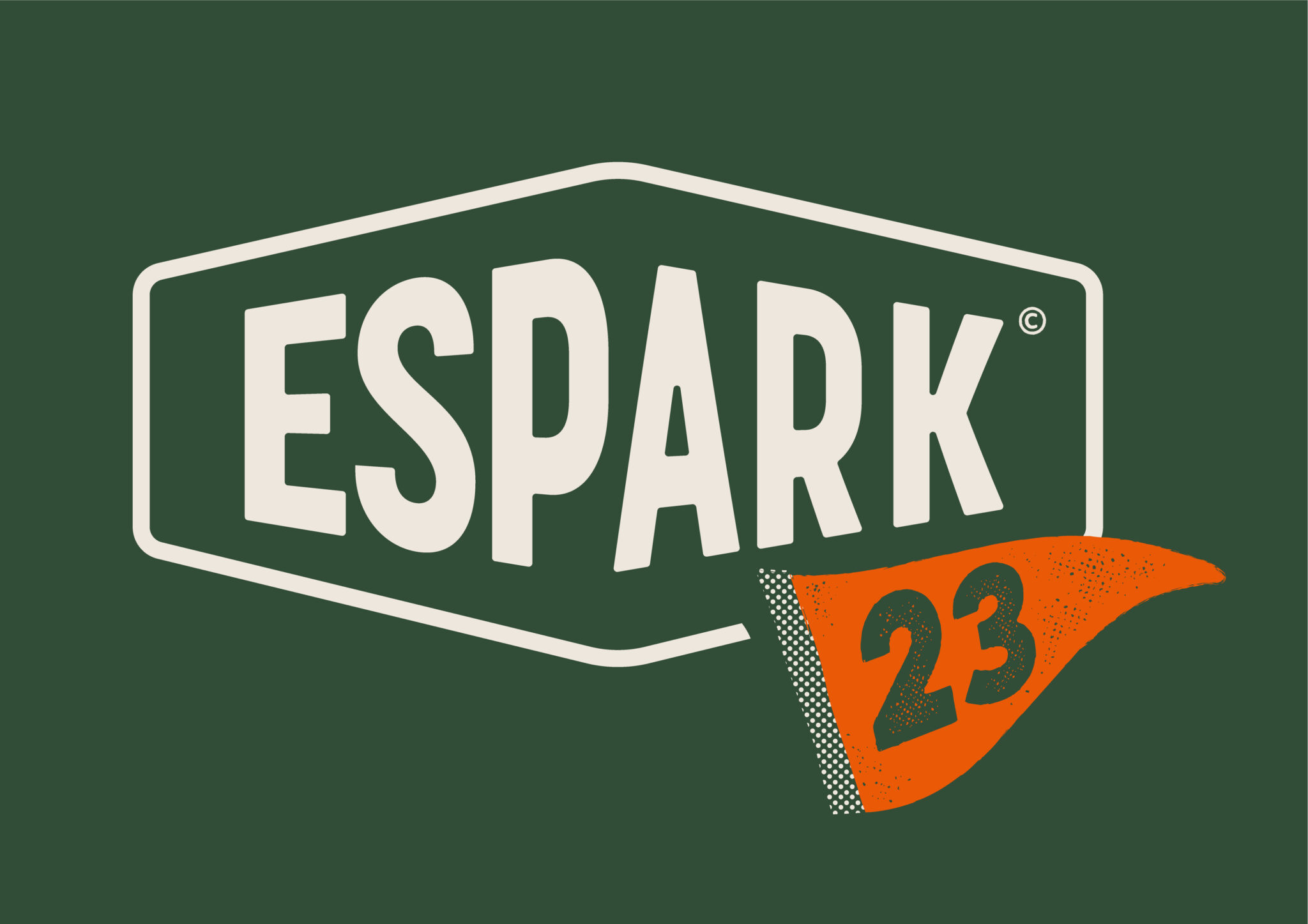 ESPARK 23 © - Parc de Loisirs Indoor Ancenis